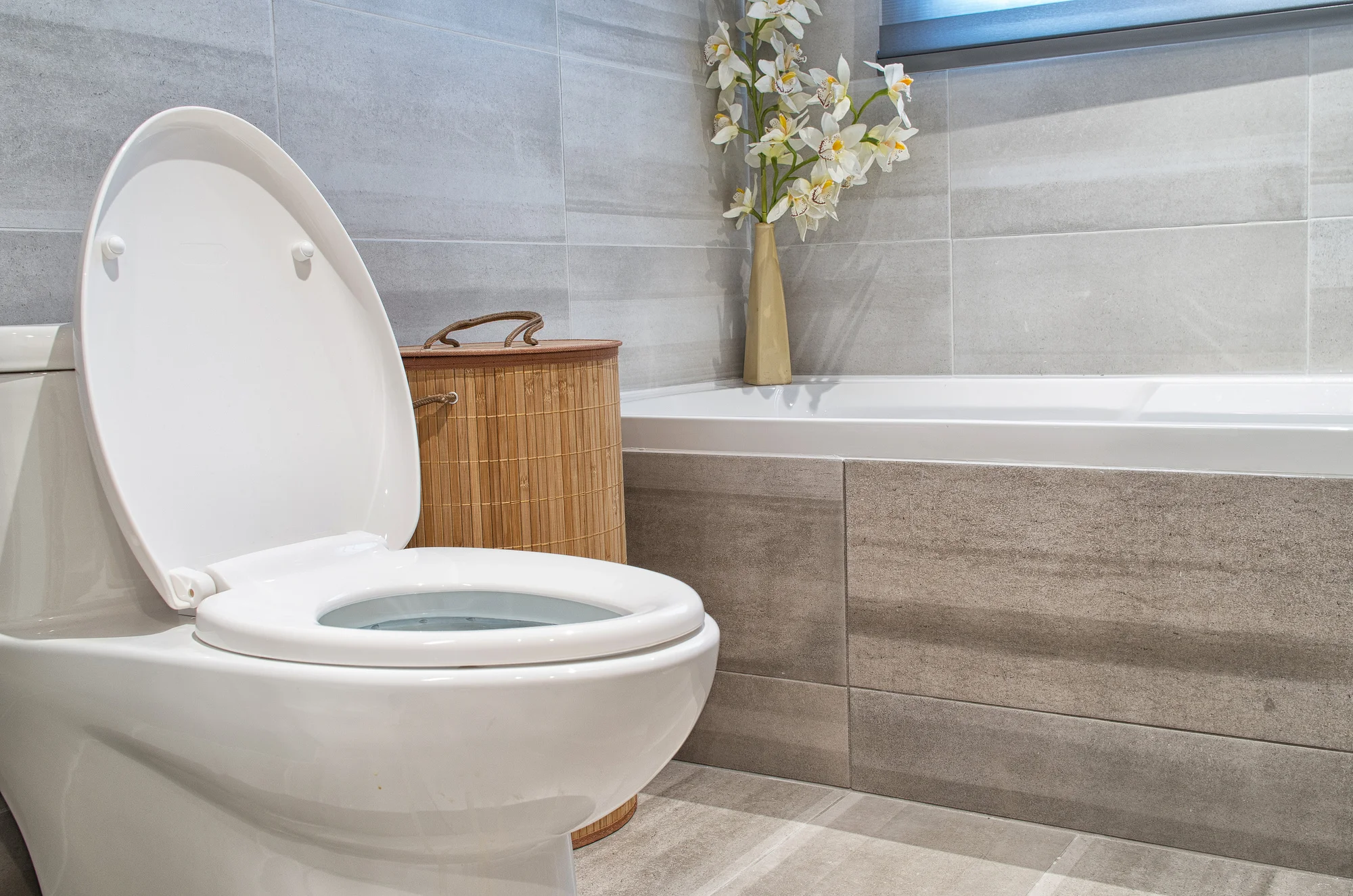 Choisir une cuvette de toilettes : modèles et critères clés
